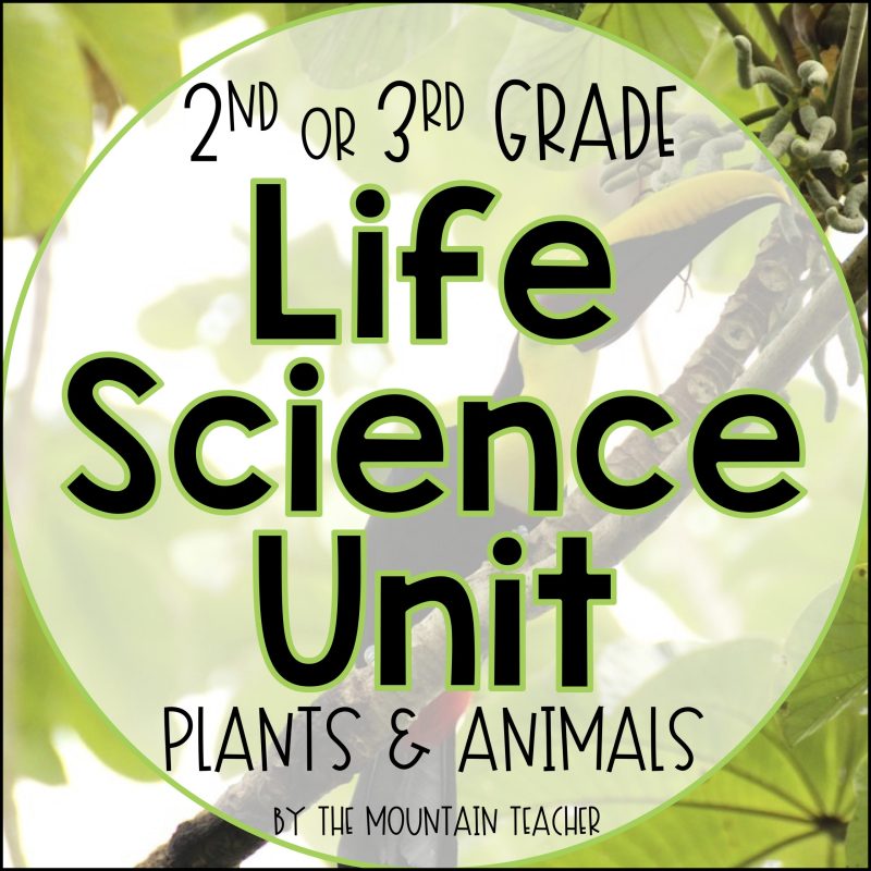 How to Make an Animal Habitat Project in Elementary School - The ...