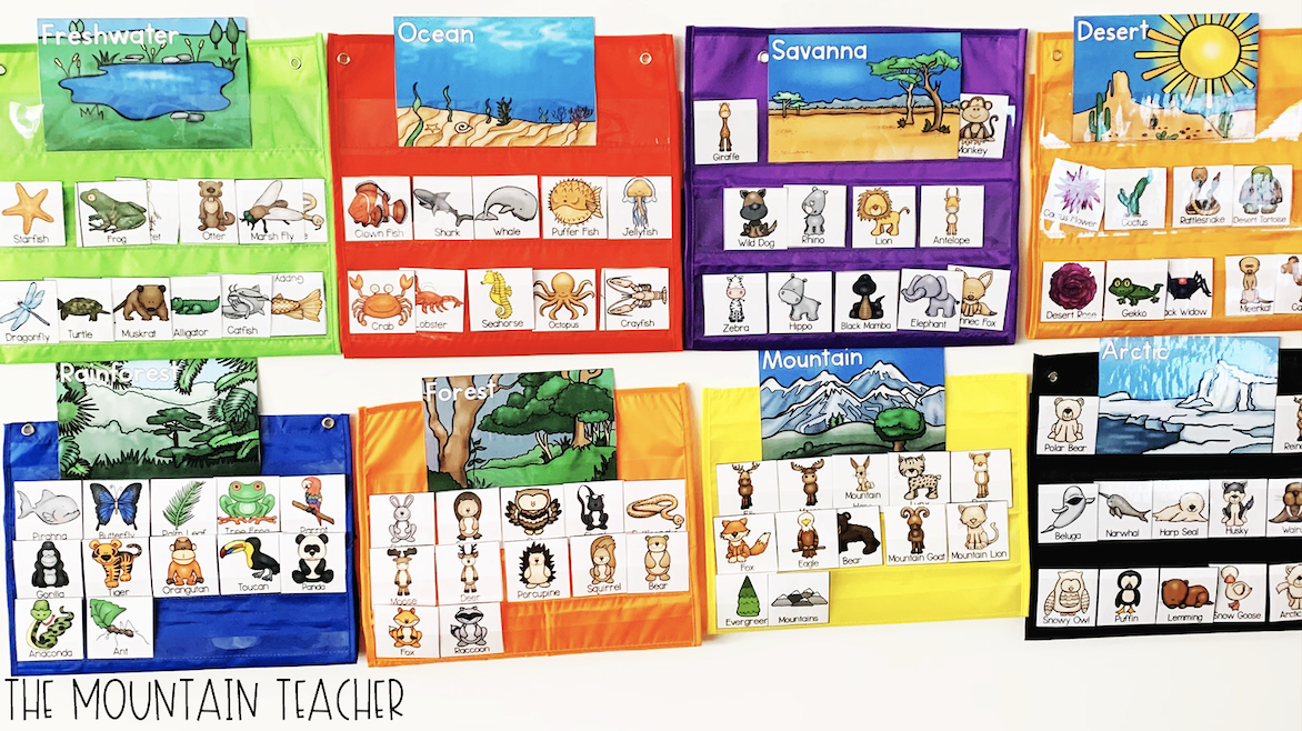 The Ultimate Life Science Unit for 2nd Grade - The Mountain Teacher