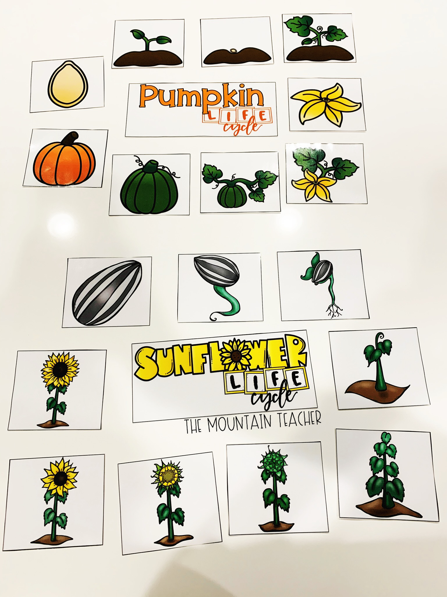 The Ultimate Life Science Unit for 2nd Grade - The Mountain Teacher