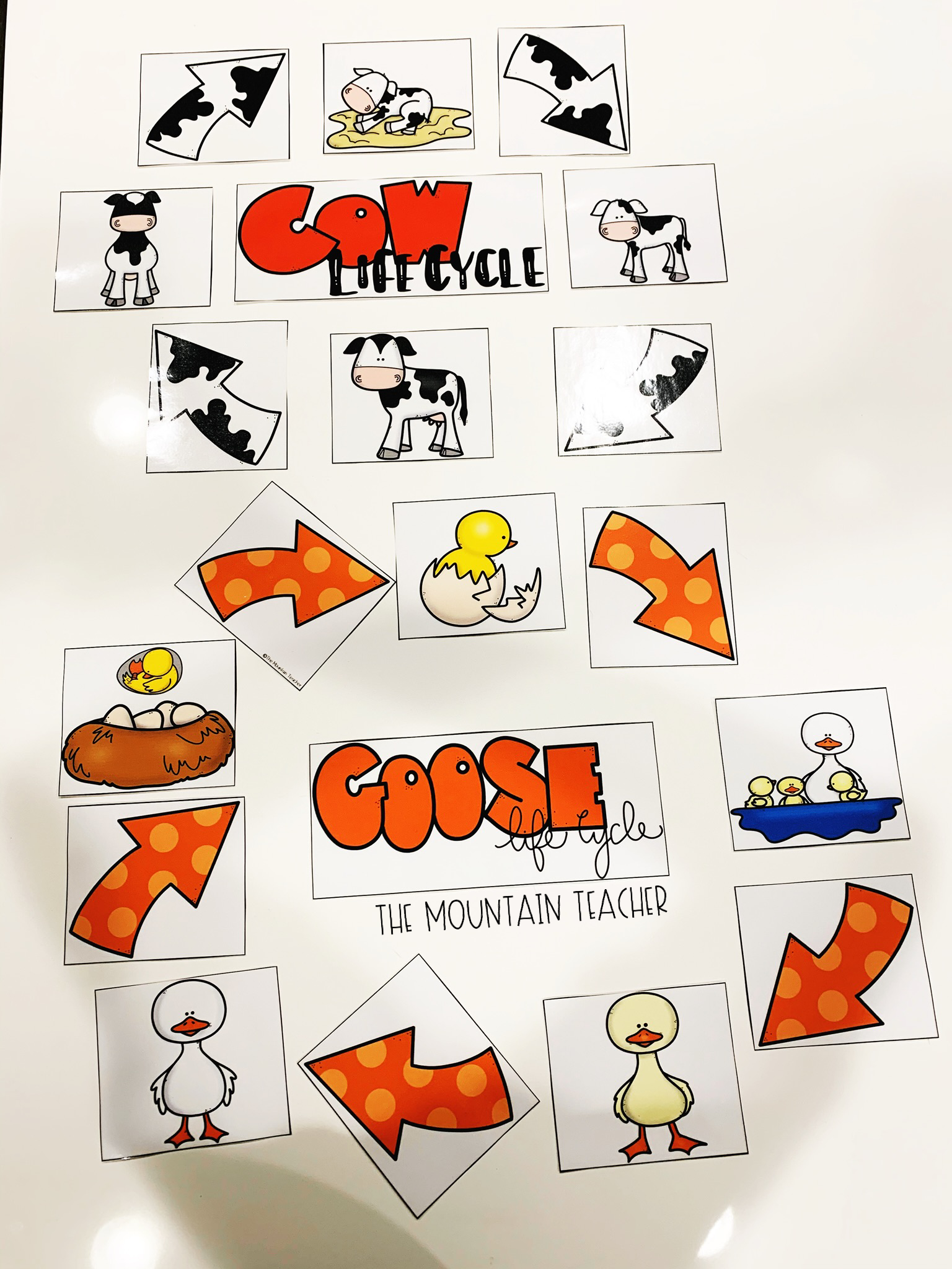 The Ultimate Life Science Unit for 2nd Grade - The Mountain Teacher