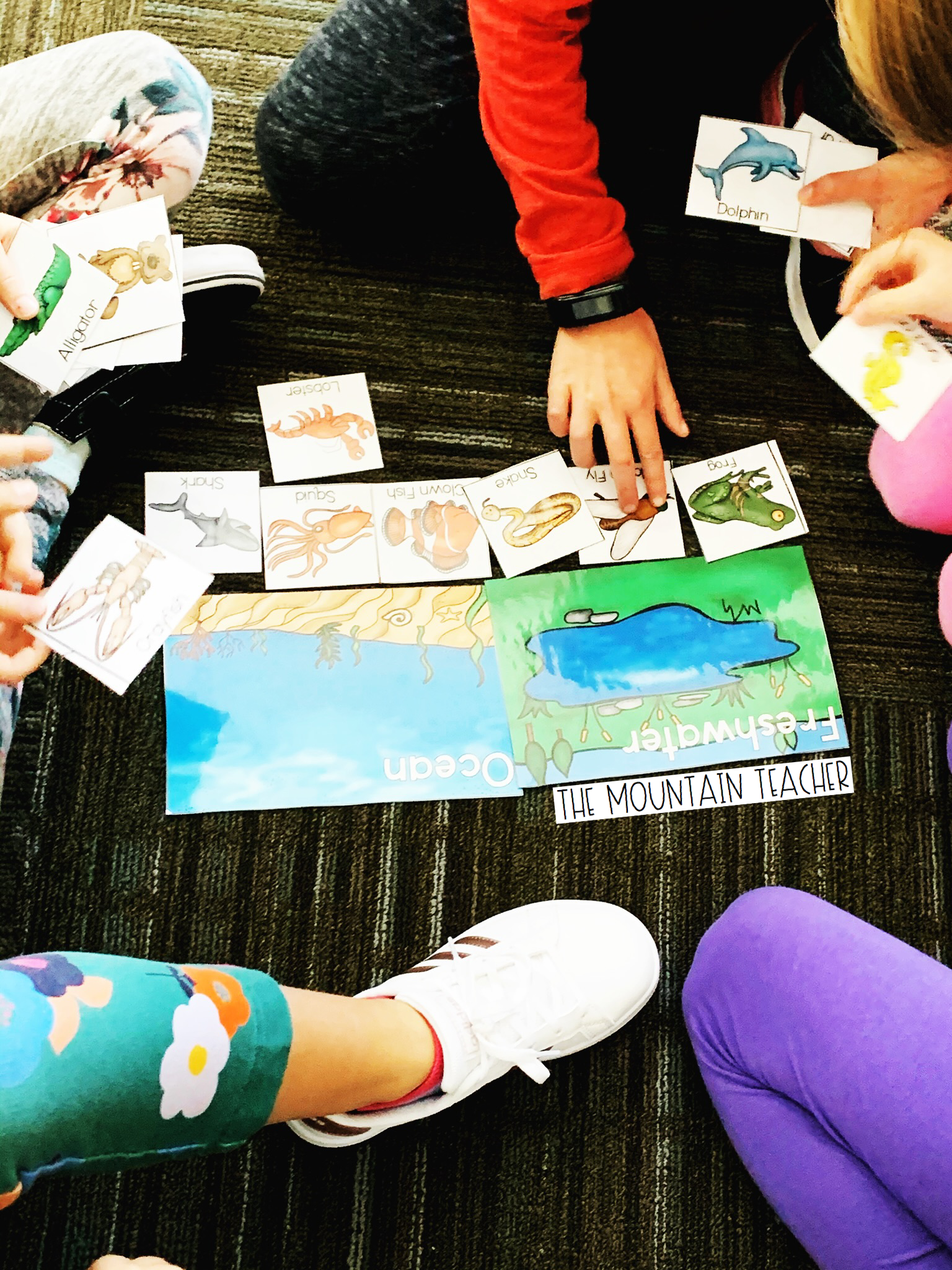 The Ultimate Life Science Unit for 2nd Grade - The Mountain Teacher