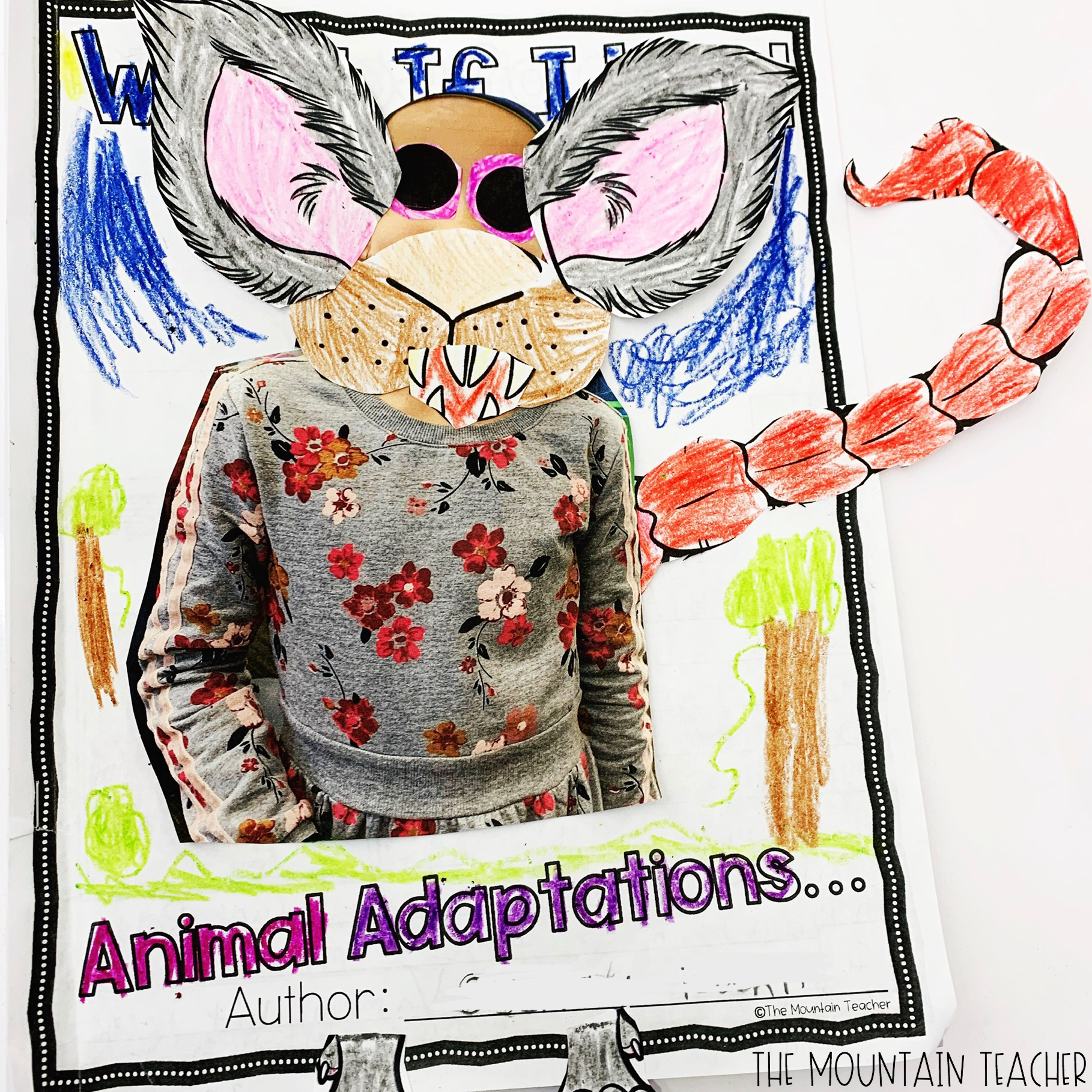 The Most Fascinating Animal Adaptation Project - The Mountain Teacher