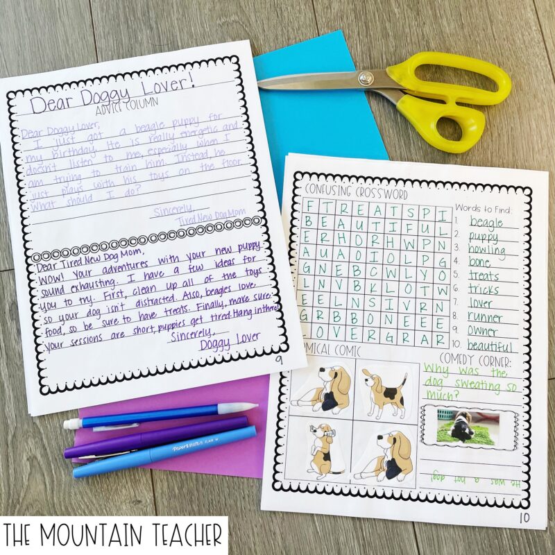 The Best End of Year Project: How to Write a Magazine - The Mountain ...