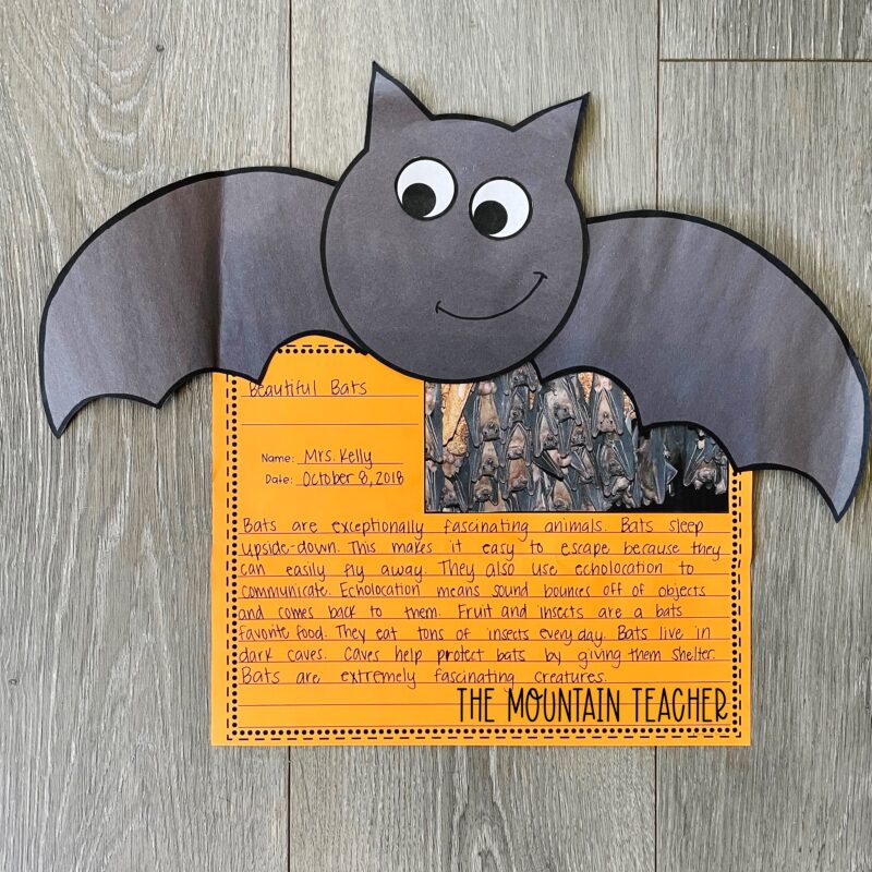 The Best Informative Writing Activities with Astonishing Student ...