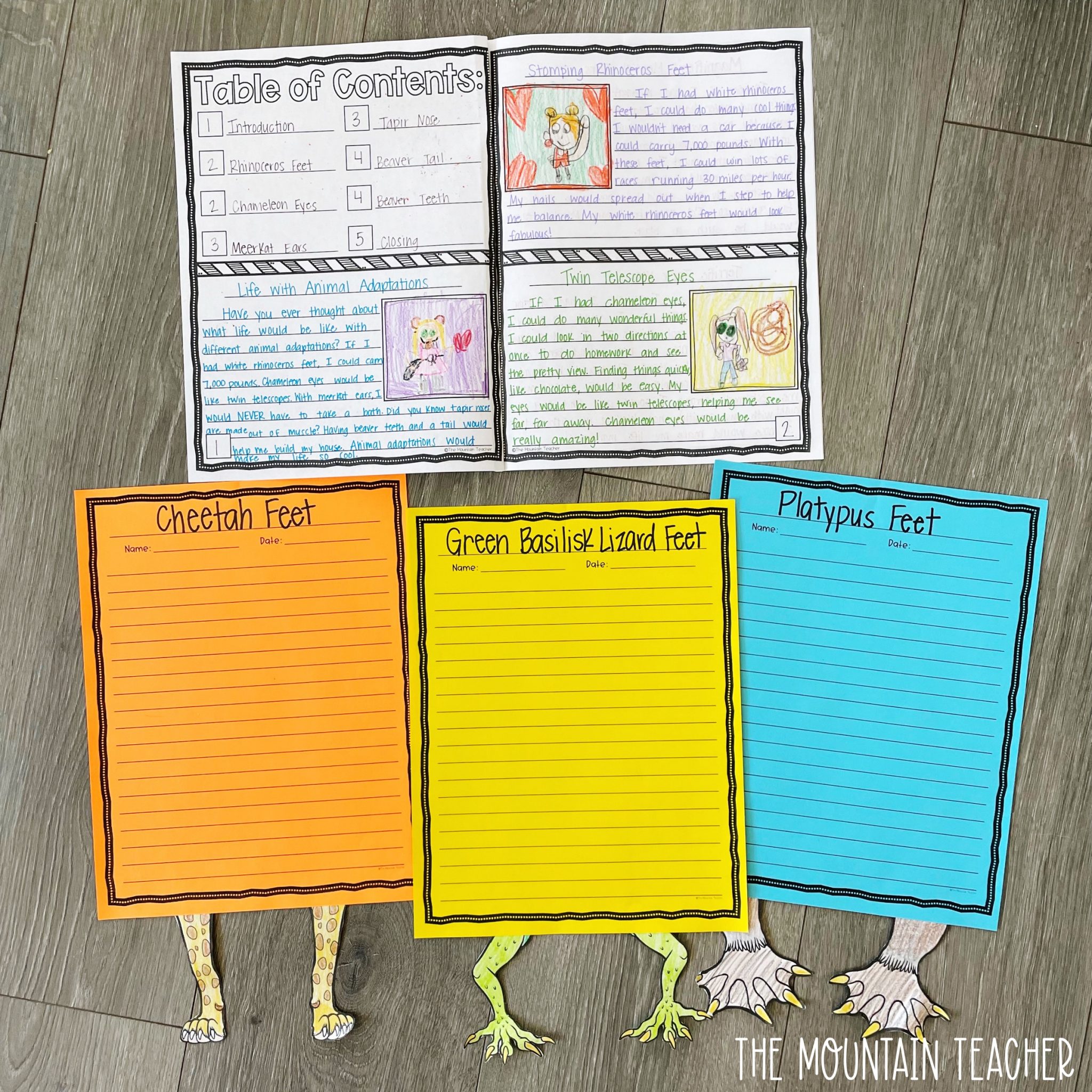 How to Teach Informative Writing in 2nd Grade with Spectacular Results ...